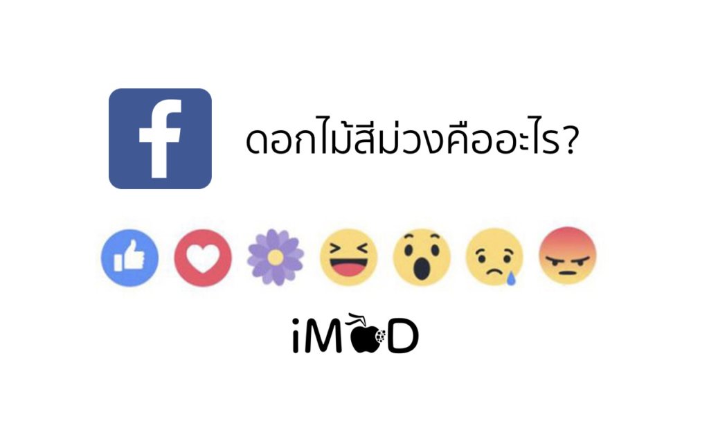 Facebook มี reaction รูปดอกไม้ใช้งานด้วยเหรอ แล้วมีความหมายว่าอย่างไร?