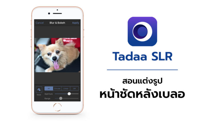สอนแต่งรูป หน้าชัดหลังเบลอ ด้วยแอป Tadaa SLR