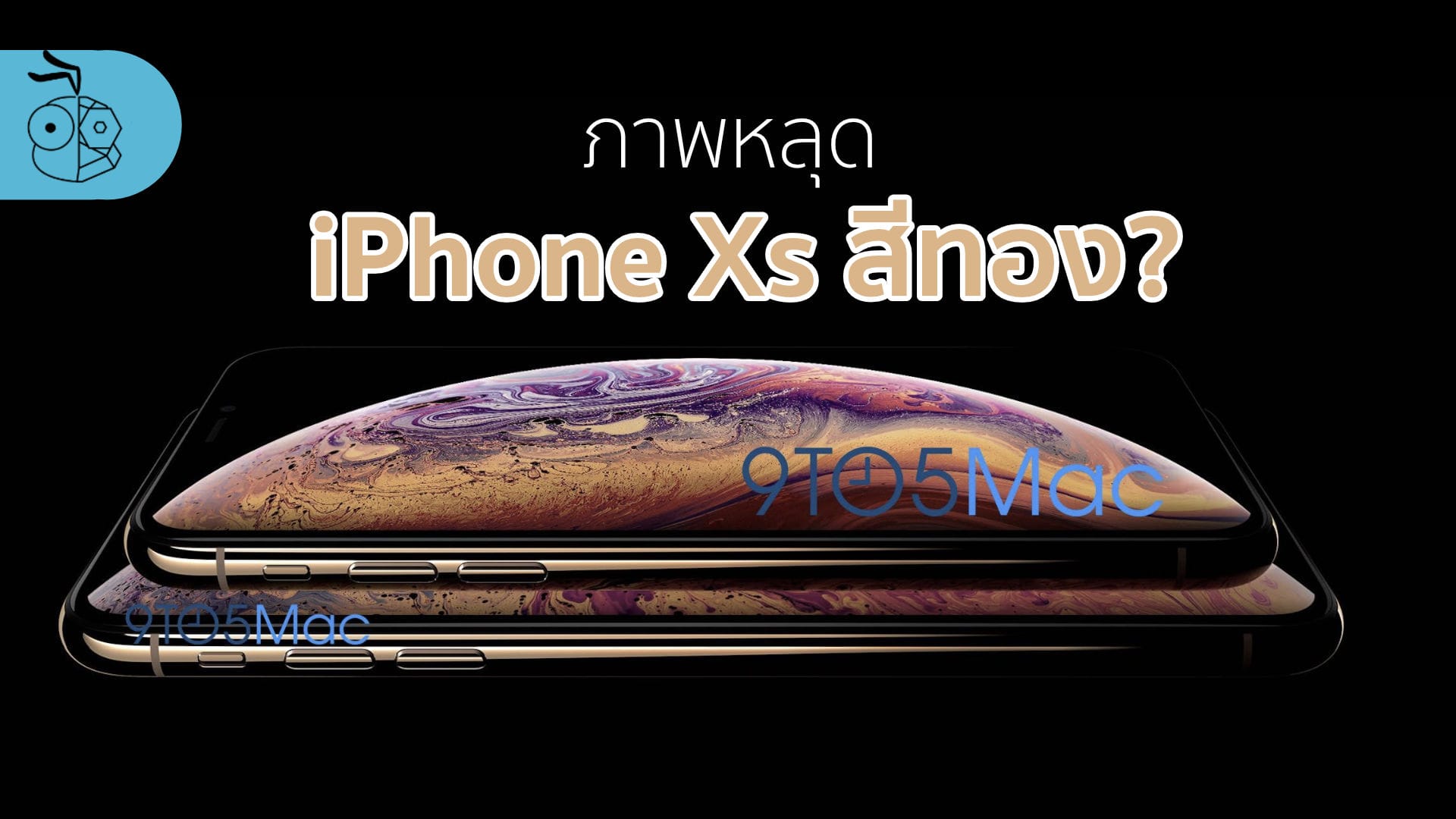 วิดีโอแนวคิด iPhone XS / XS Plus สี Gold โดย ConceptsiPhone