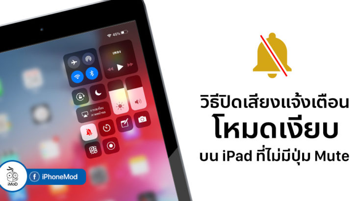 3 วิธีปิดเสียงแจ้งเตือนบน iPad แบบรวดเร็ว (อัปเดต 2024)