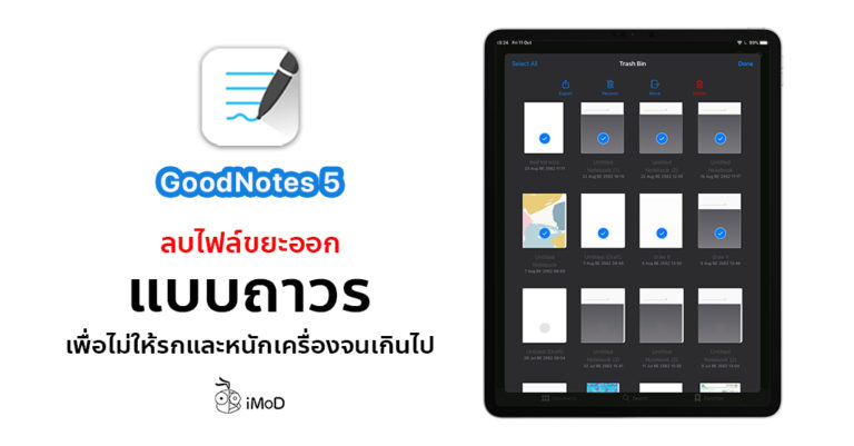 มารู้จักกับเครื่องมือ Lasso Tool ใน GoodNotes 5 ว่าทำอะไรได้บ้าง
