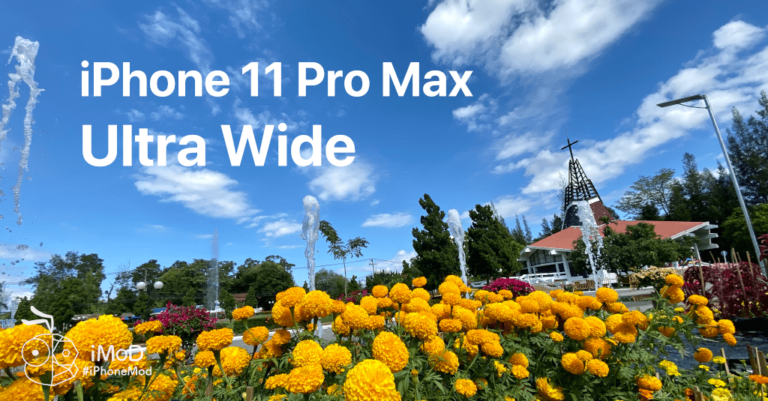 ชมภาพถ่ายเลนส์ Ultra Wide ของ iPhone 11 Pro Max ในที่กลางแจ้ง แสงมาก