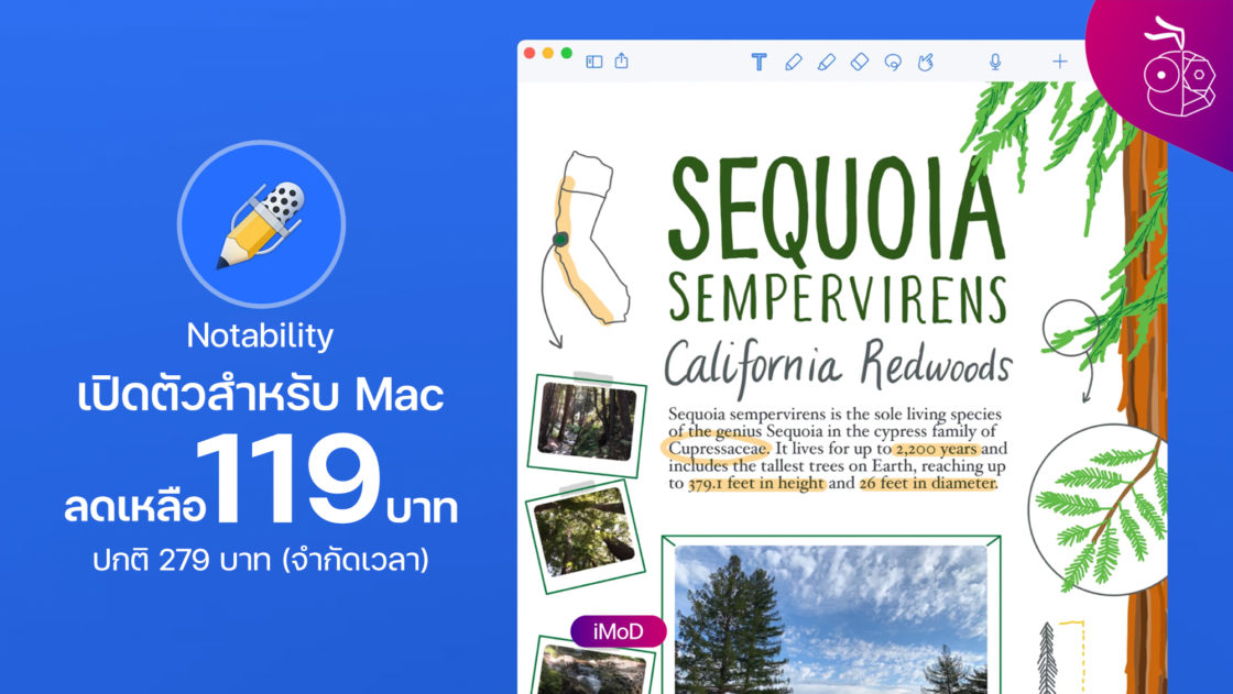 Notability เปิดใช้งานบน Mac แล้ว ลดราคาเหลือ 119 บาท ในระยะเวลาจำกัด