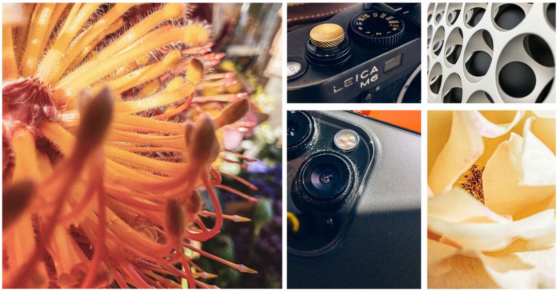 นักพัฒนาพบว่า iPad Pro (2021) ชิป M1 ถ่ายภาพ Macro ออกมาได้ดีมาก