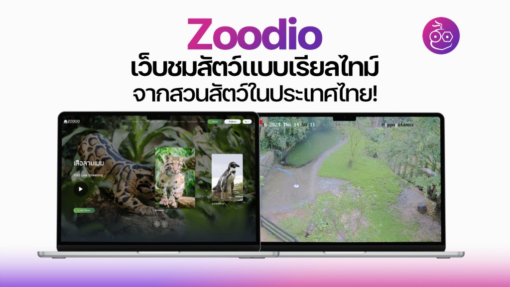 Zoodio เว็บชมสัตว์แบบเรียลไทม์จากสวนสัตว์ในประเทศไทย!