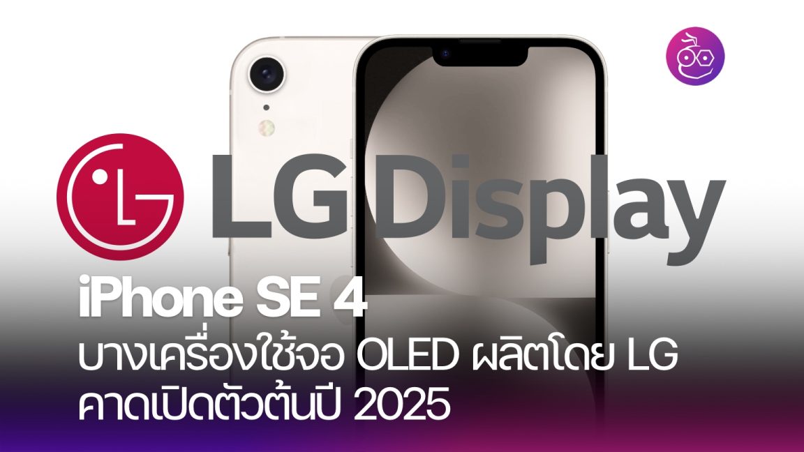 iPhone SE 4 บางเครื่อง ใช้จอ OLED ผลิตโดย LG Display