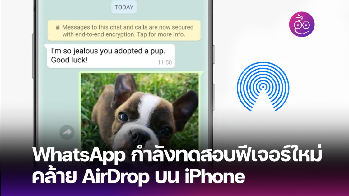 WhatsApp กำลังทดสอบฟีเจอร์คล้าย AirDrop ทำให้ส่งไฟล์สะดวกขึ้น
